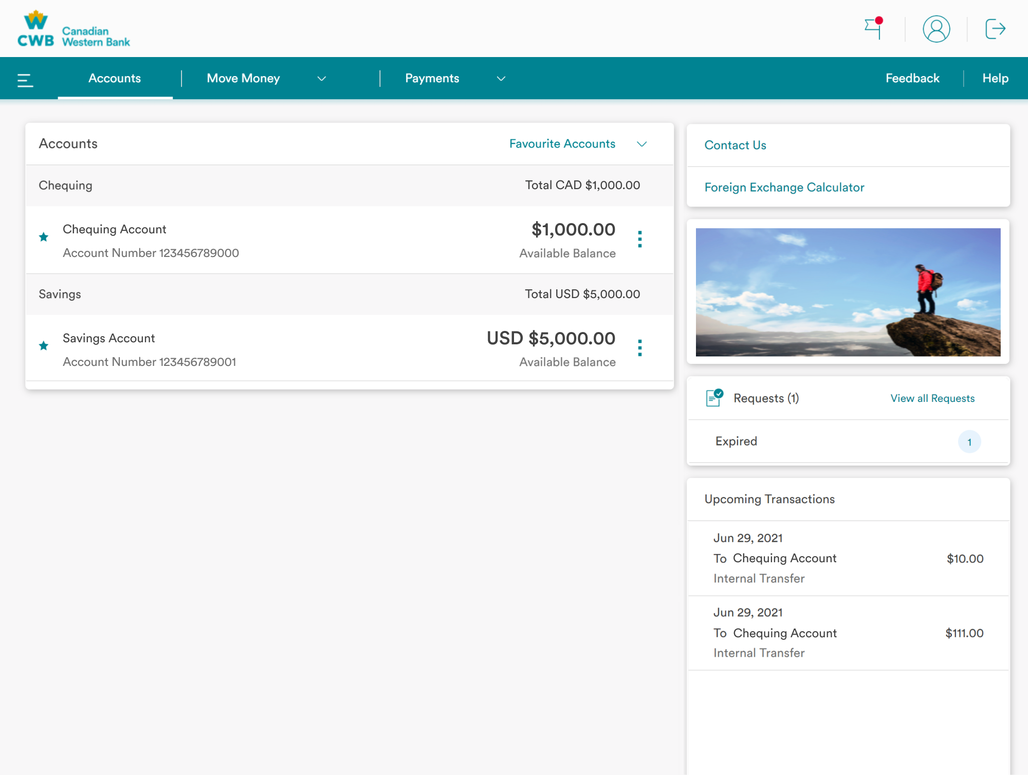 Interac Direct Payment